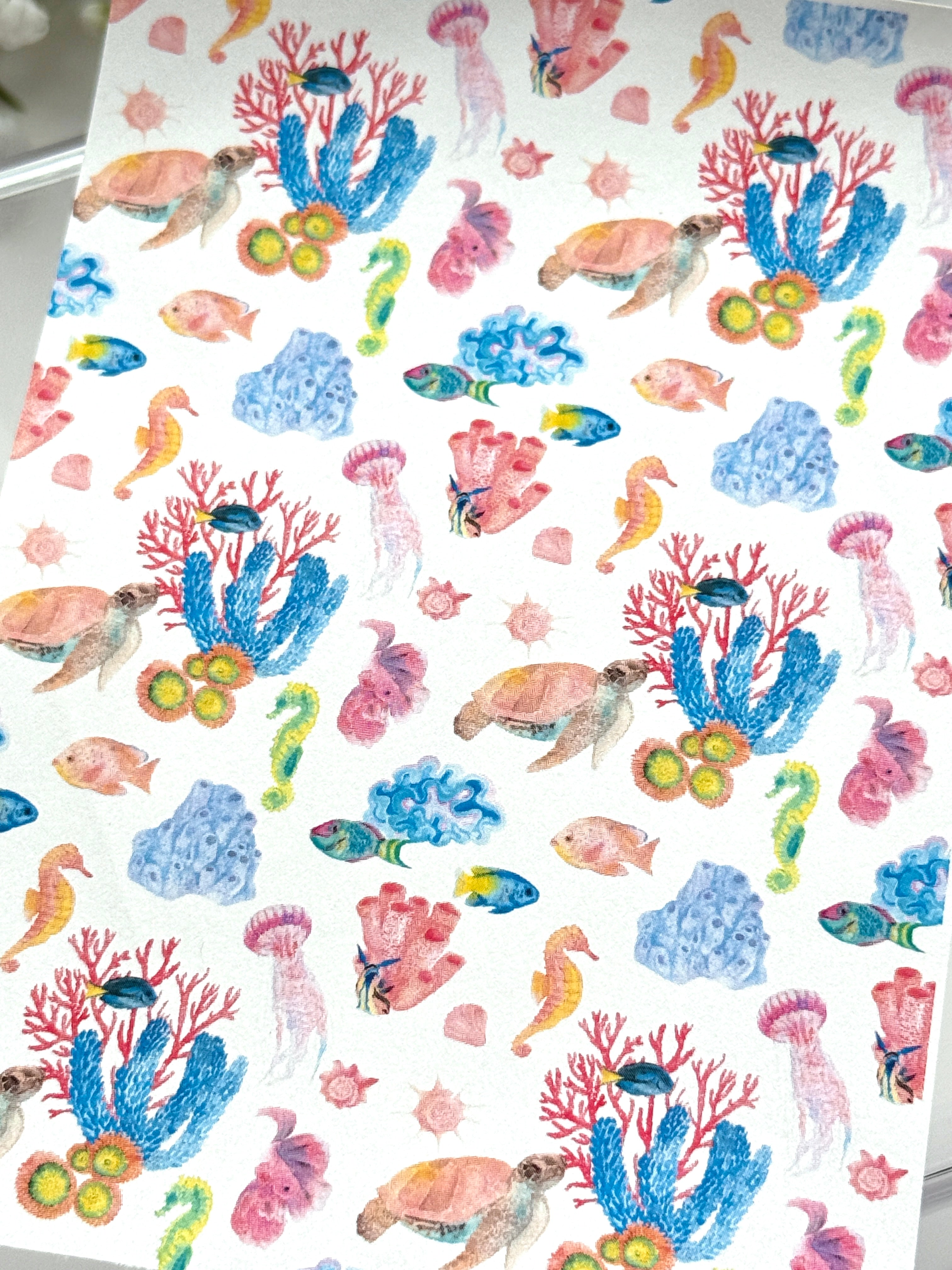Transfer Paper 483 Ocean Creatures | Image Water Transfer – Tera Clay